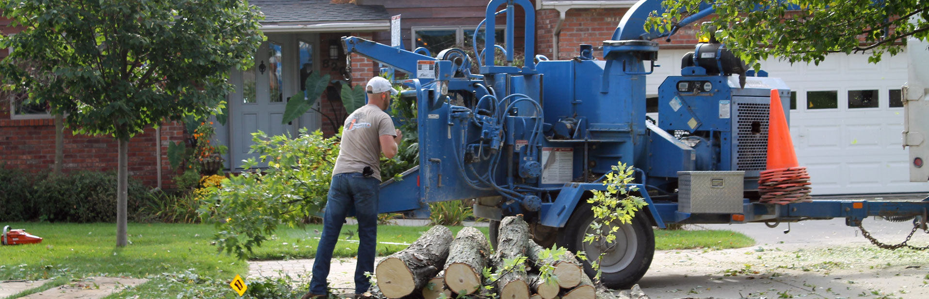 A1 Tree Service – Landscape Company · Tree Cutting Service